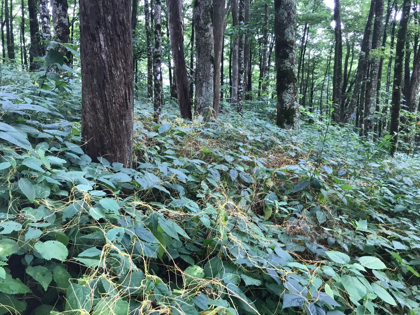 31 Dec 2025 – Page 22 – jeffersonvann