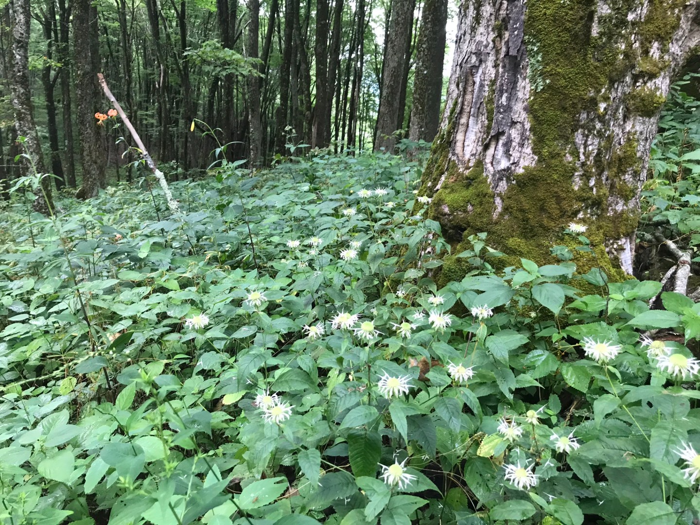 31 Dec 2025 – Page 22 – jeffersonvann