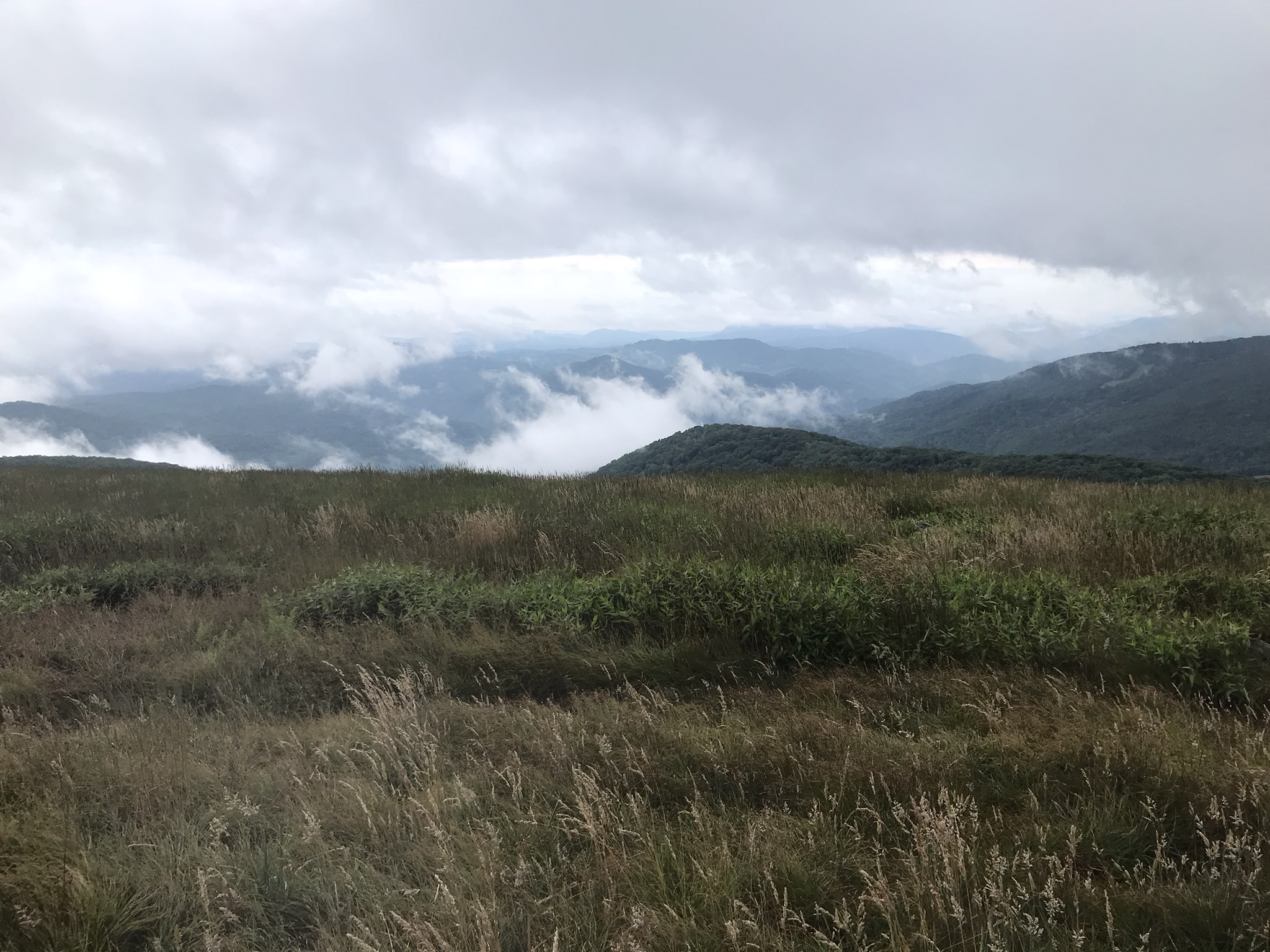 Numbers 15 – jeffersonvann