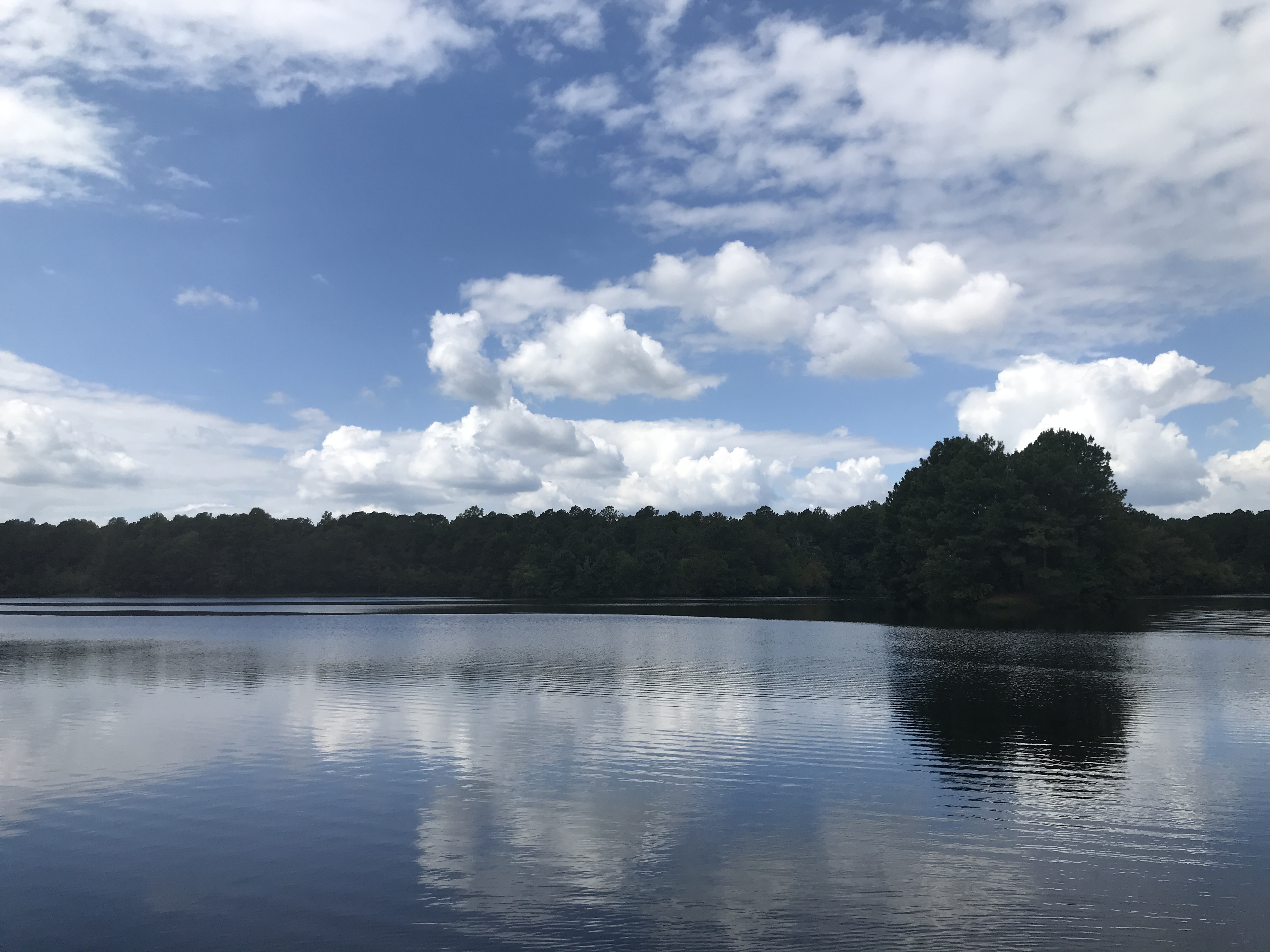 20 Nov 2025 – jeffersonvann