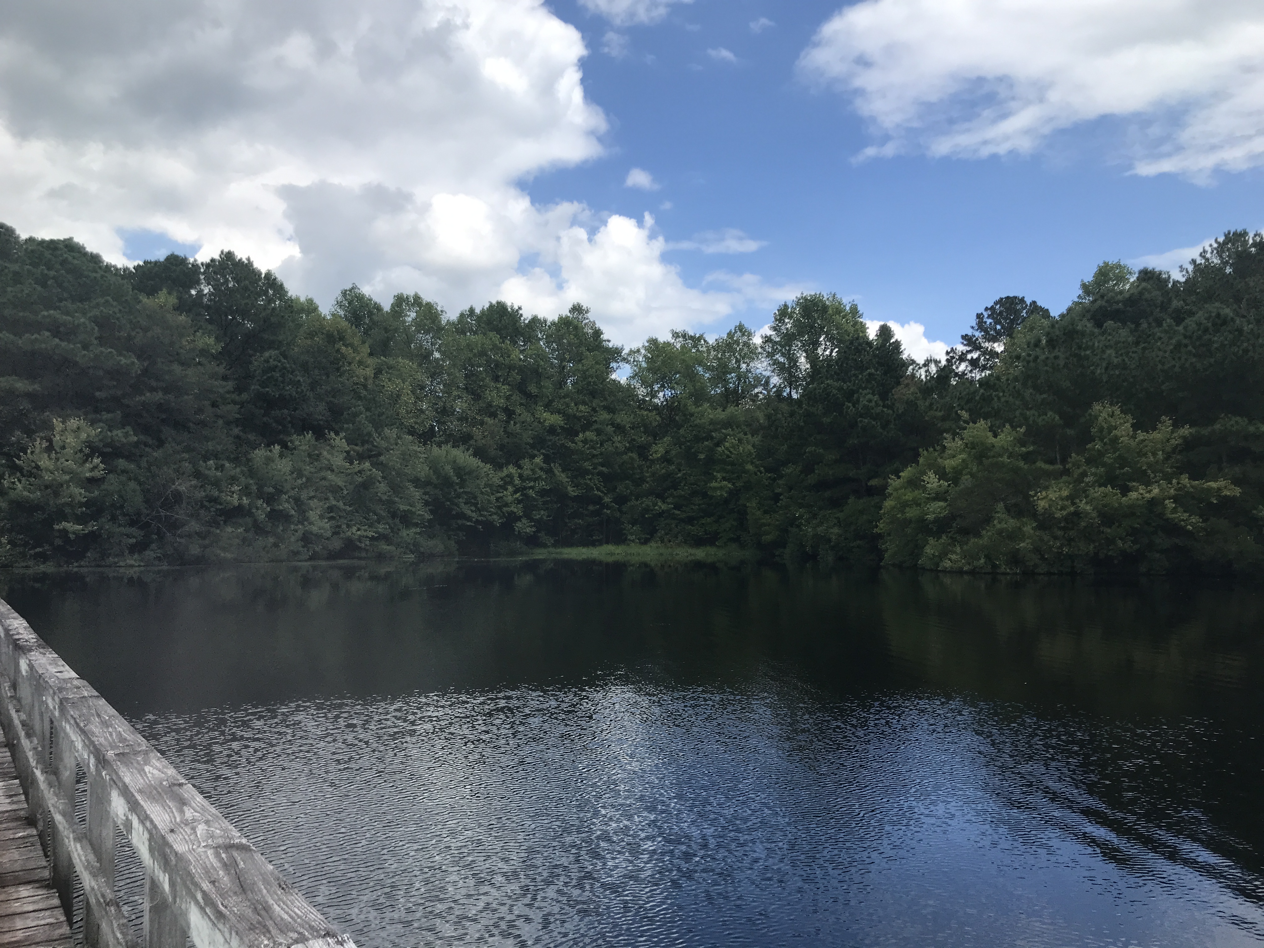 22 Nov 2025 – jeffersonvann