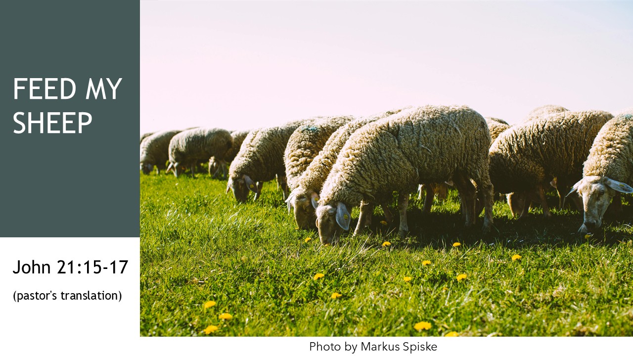 FEED MY SHEEP – jeffersonvann