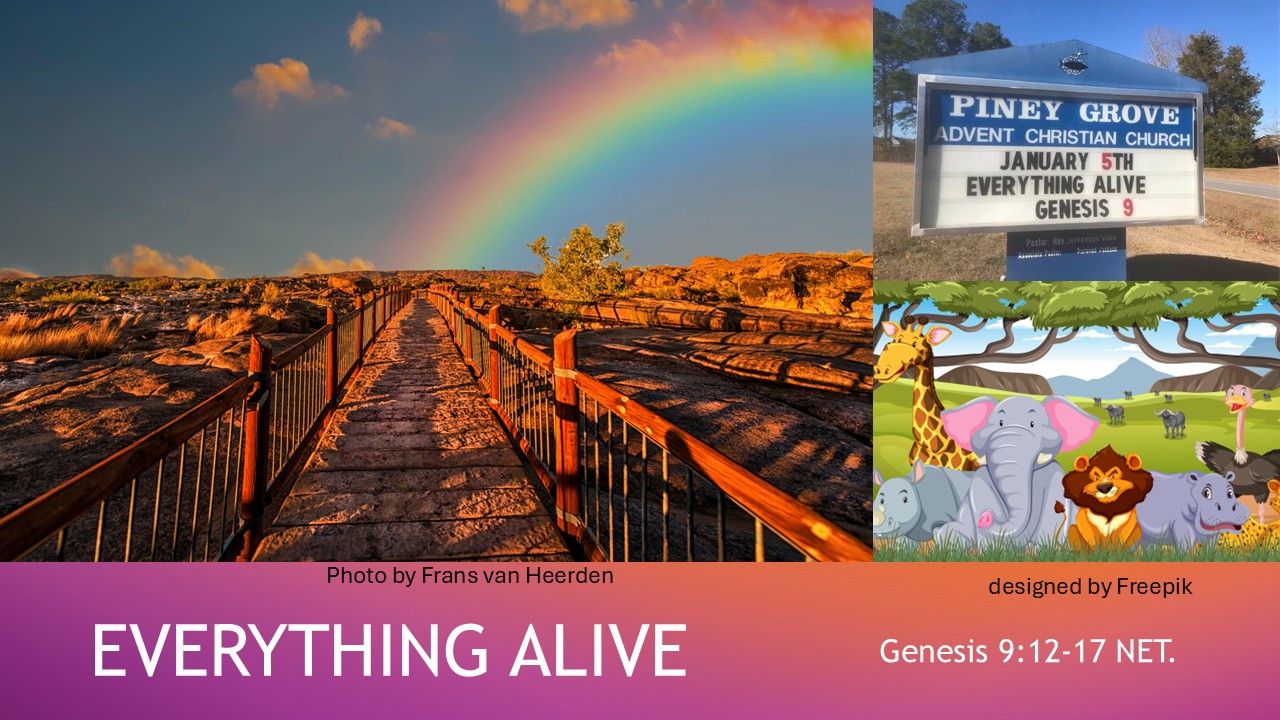 EVERYTHING ALIVE – jeffersonvann