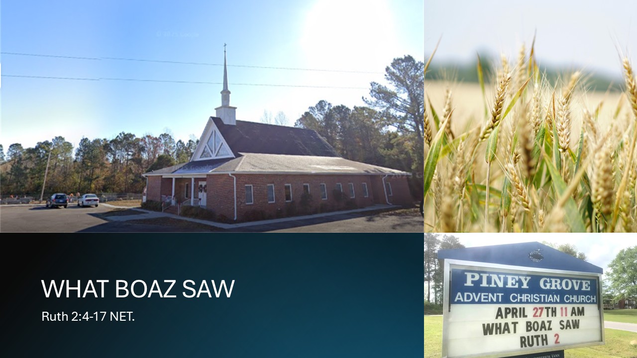 WHAT BOAZ SAW – jeffersonvann